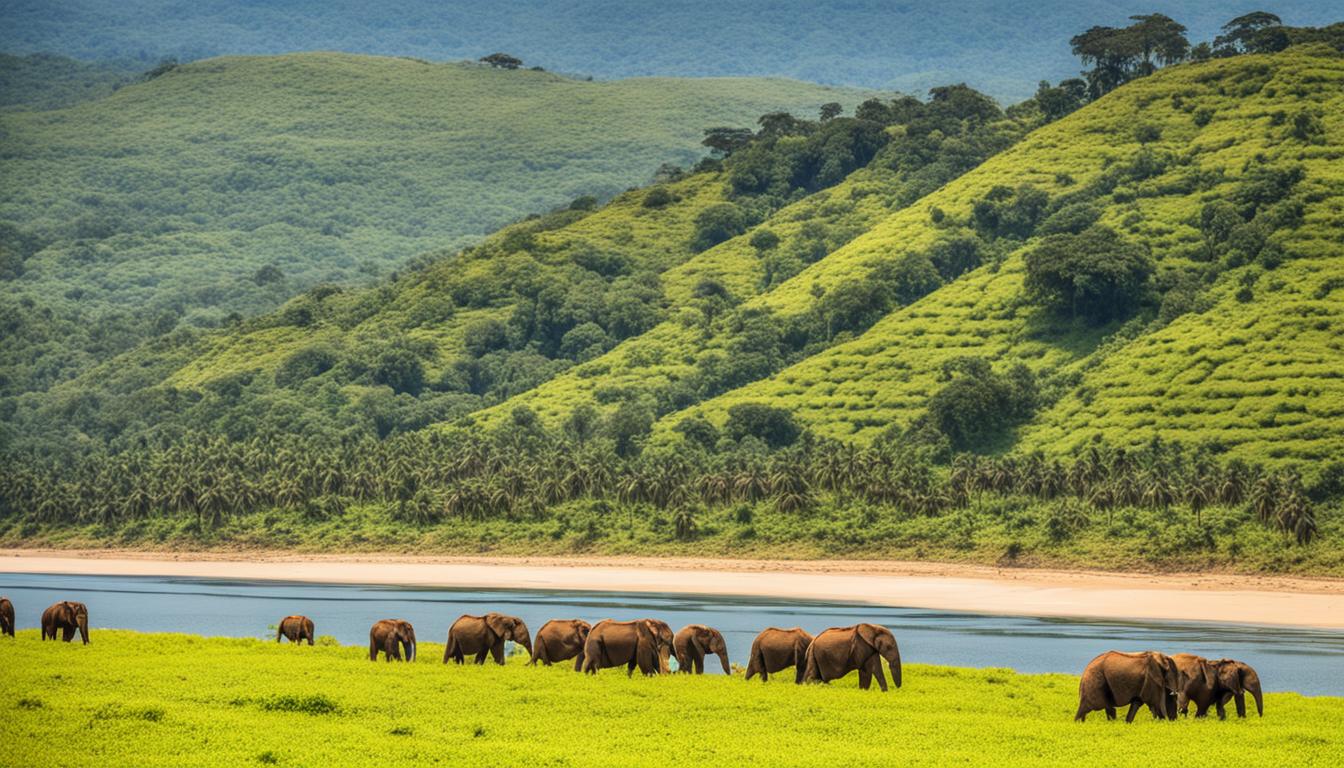 Explore the Varied Geography of Cameroon